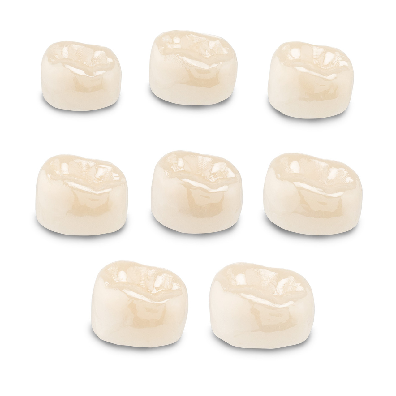 Acero Zirconia Lower Right Primary First Molar "S" | Practicon Inc