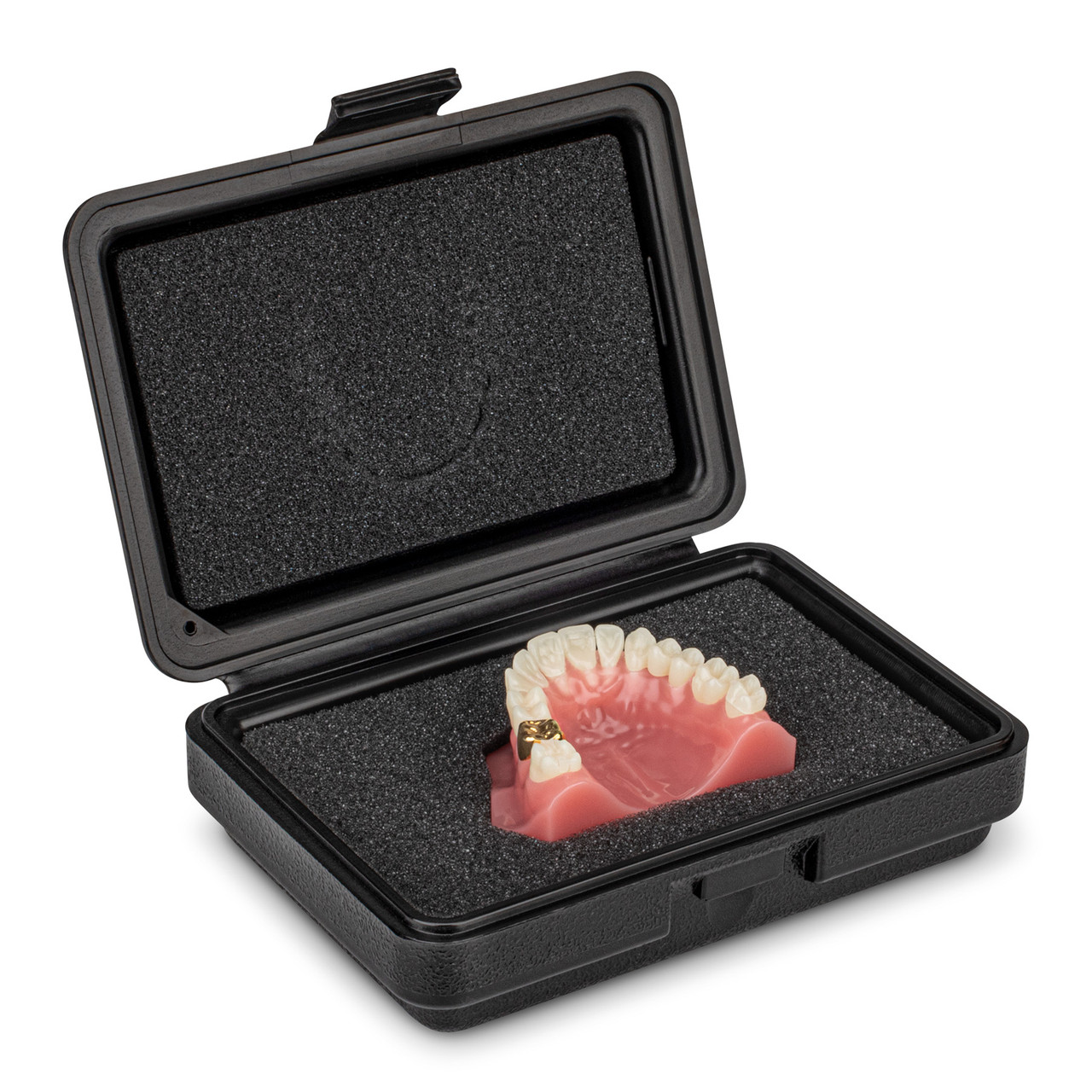 Multicase Crown and Bridge Model | Practicon, Inc.