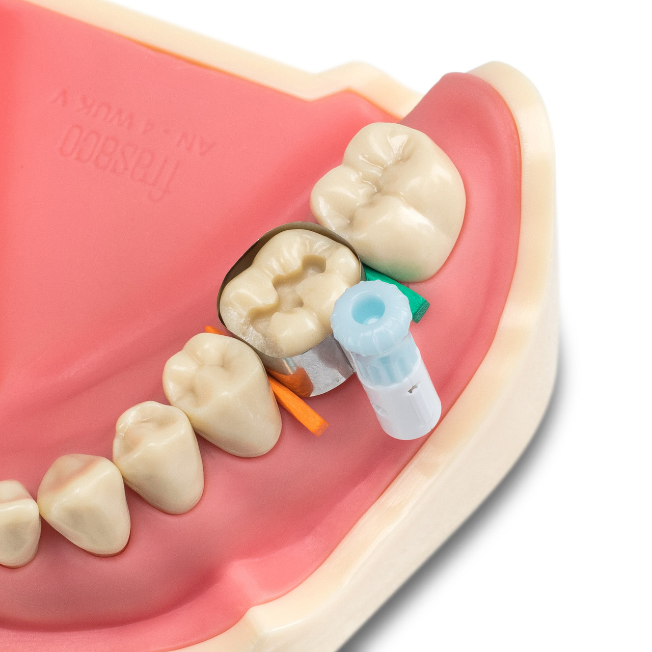 Palodent 360 Circumferential Matrix System 48/Box | Practicon Inc