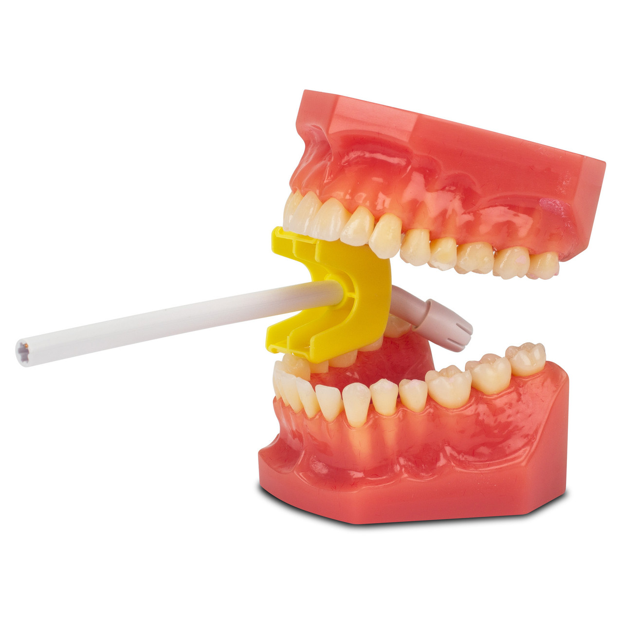 Disposable E-Prop Mouth Props 50/Pack | Practicon Inc