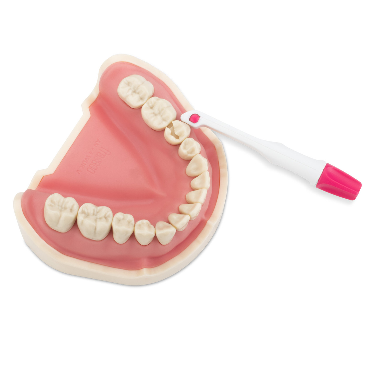 SafeMatrix Clear Contour Single-Use Matrix Bands 50/Box