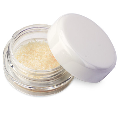 OSSIFY 0.5CC Demineralized Cortical Bone Allograft | Practicon, Inc