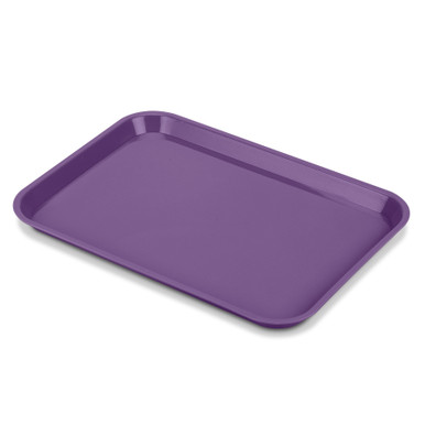 Zirc Flat B-Lok Setup Tray | Practicon Inc