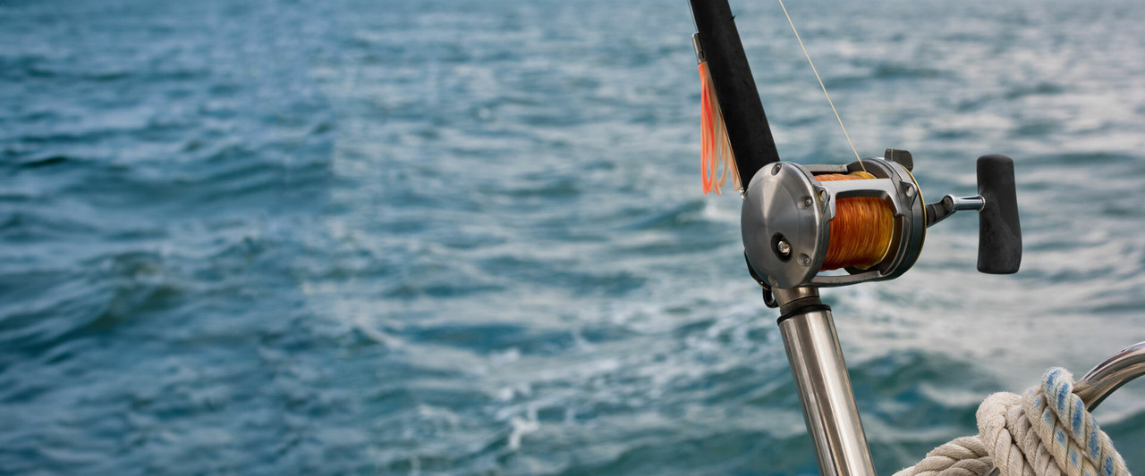 Shimano Overhead Reels For Sale Online | Fishing Tackle Shop