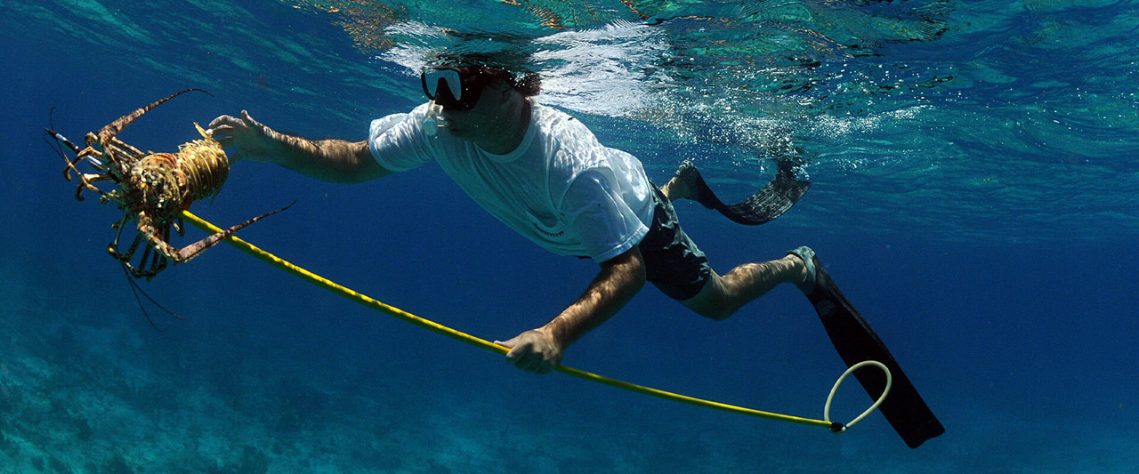 Hand Spears for Sale | Aluminium & Fibreglass Spearfishing