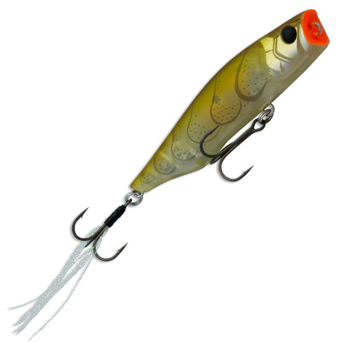 Shimano Bantam Ligen Popper Lure | Fishing Tackle Shop