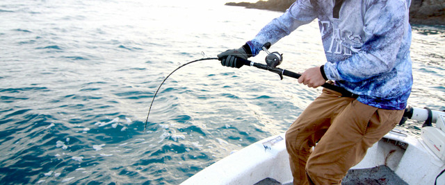 Overhead Rods For Sale Online | Fishing Tackle Shop