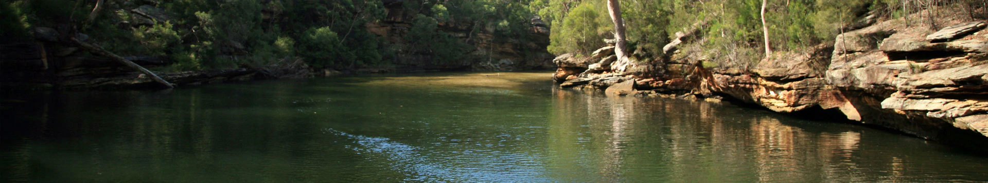 Shimano Light-Medium Inshore Rods | Fishing Tackle Shop