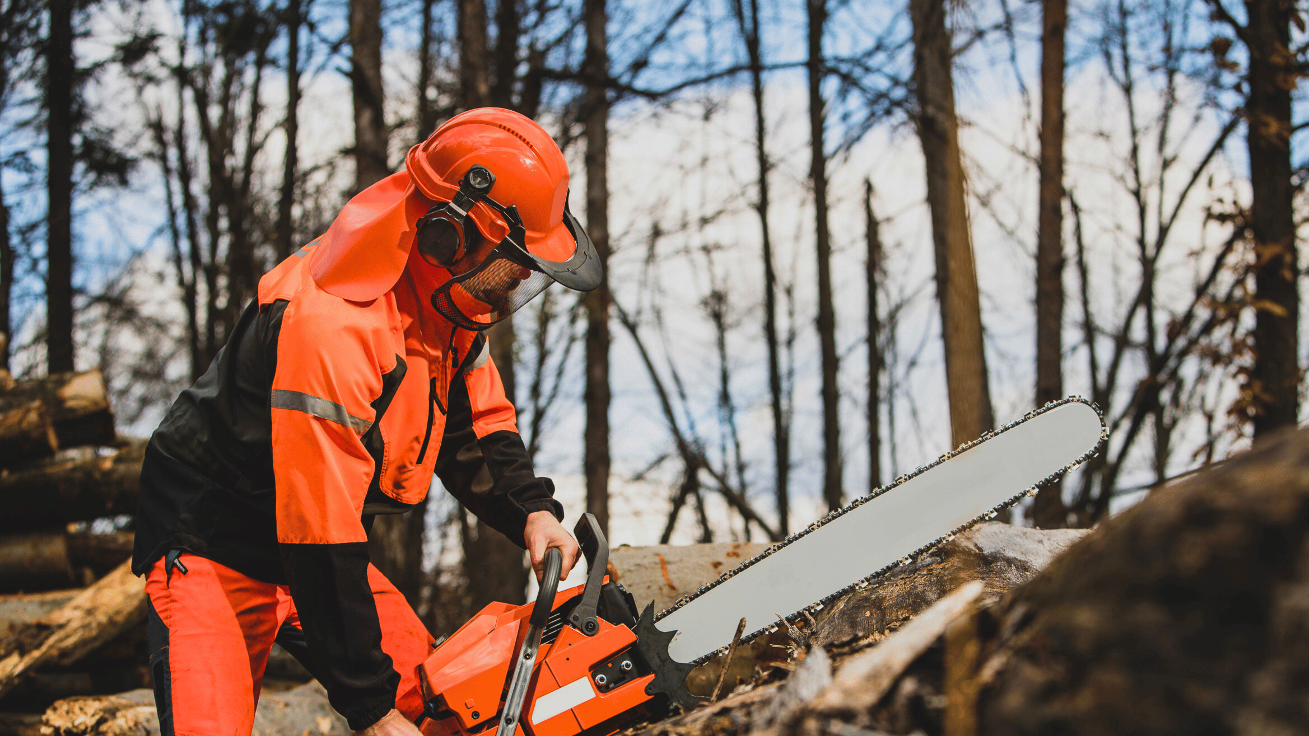The Importance of High-Visibility Protective Clothing for Arborists ...