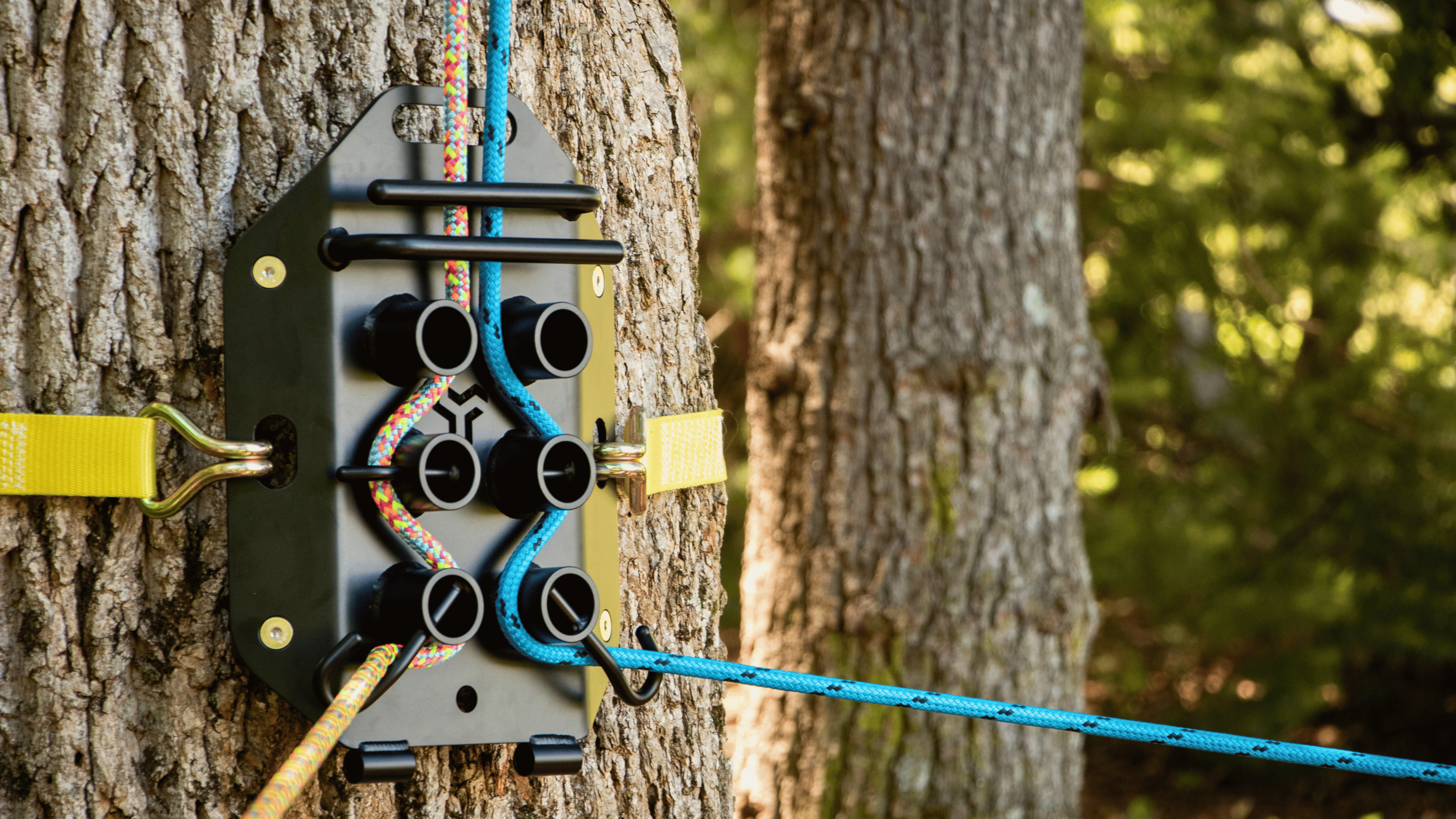 Meet the Notch Six Pack: The Future of Arborist Rigging Has Arrived ...