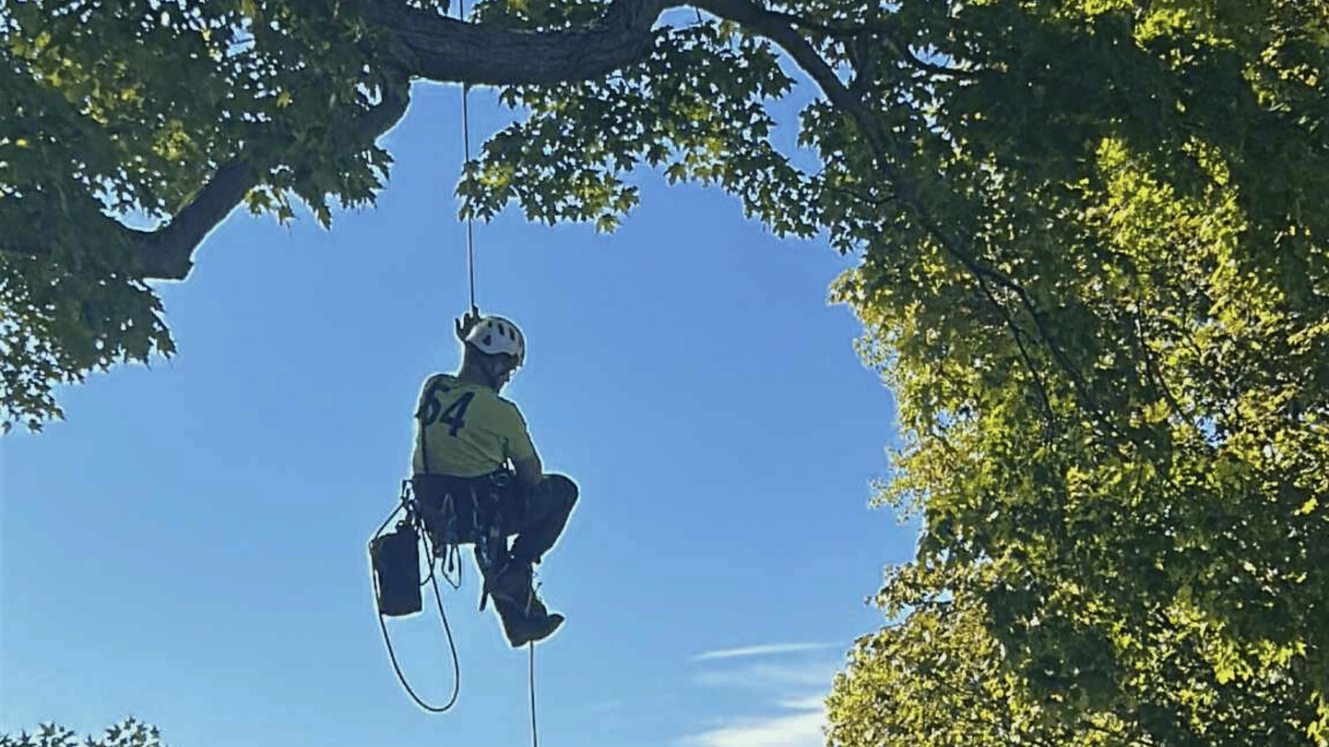 Highlights from the 2025 Ontario Tree Climbing Competition in Kingston ...