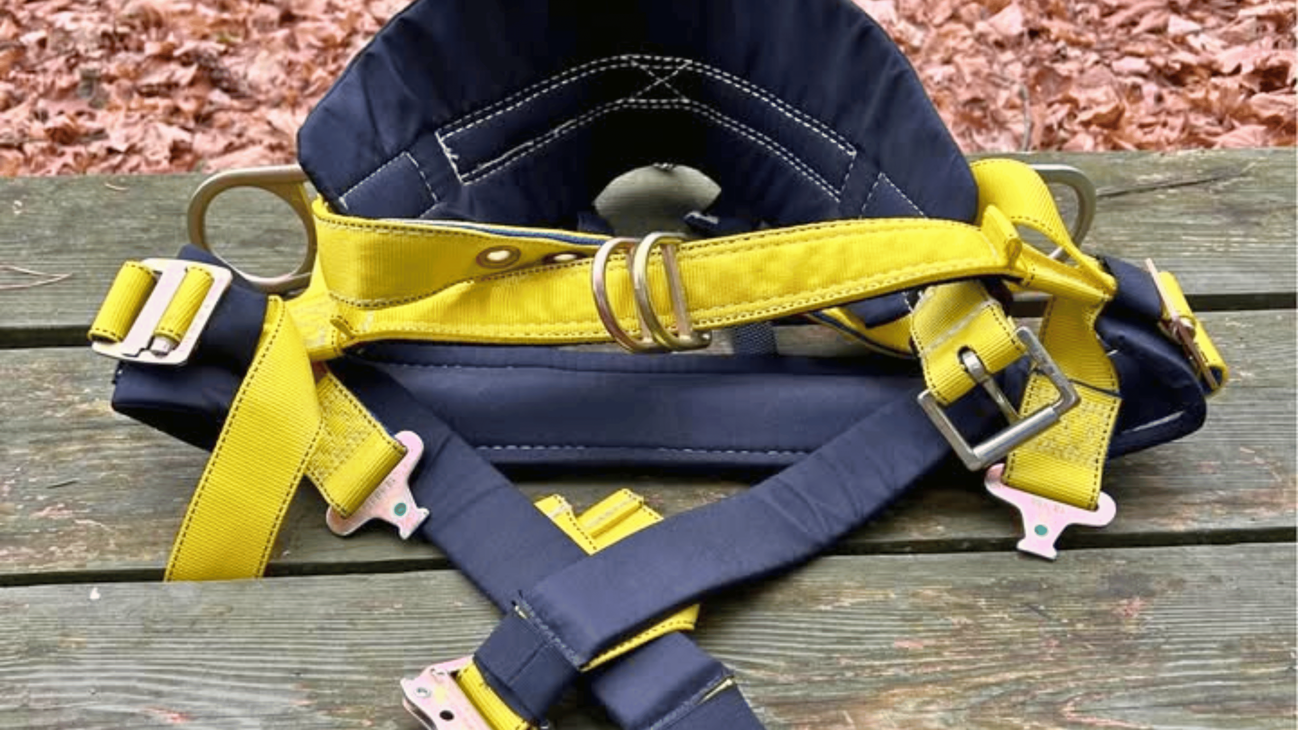 Is Your Saddle Still Safe? When to Replace It - Arborist Store