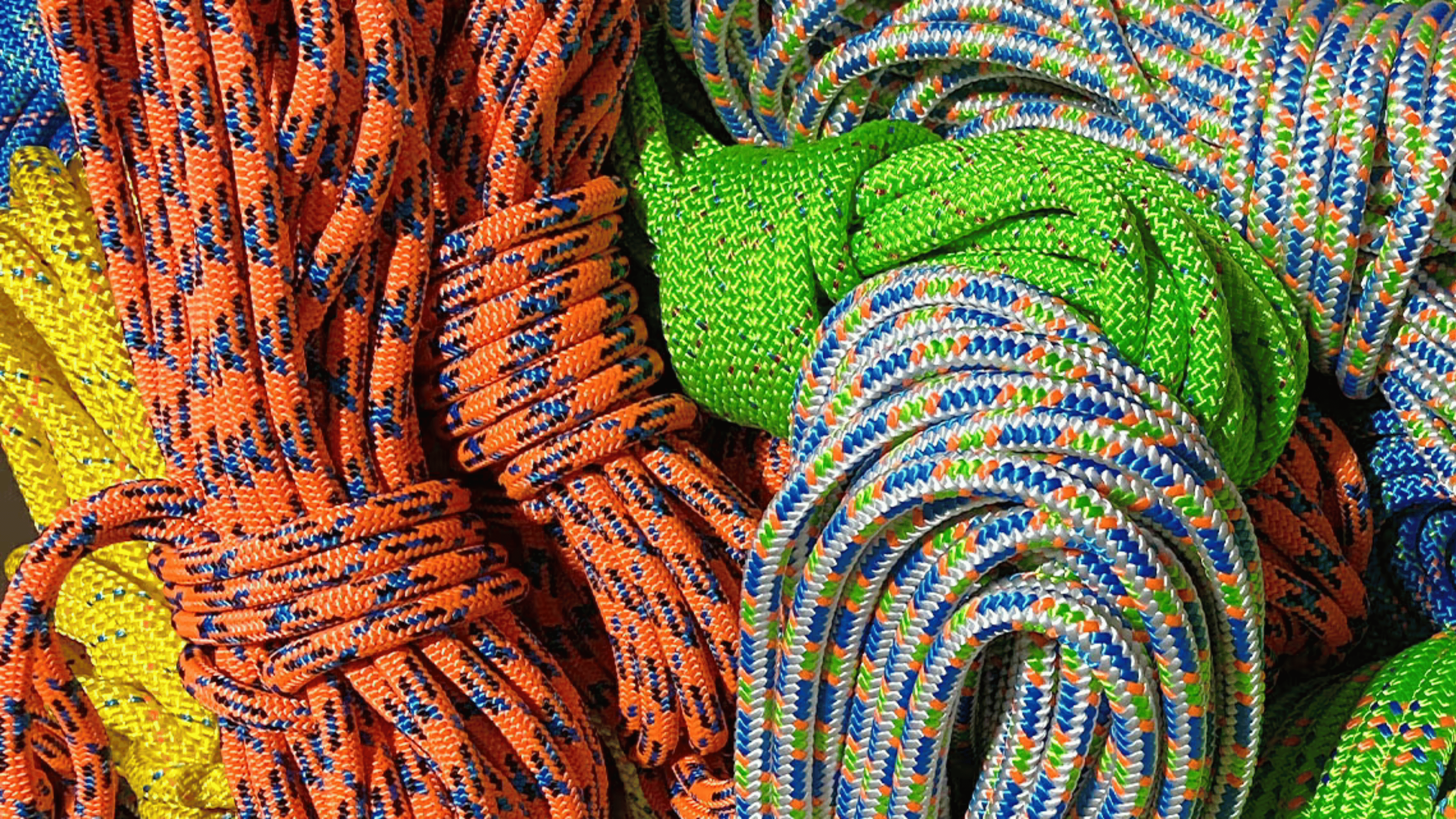 Sterling Rope: Choosing the Right Arborist Rope for Safety and ...