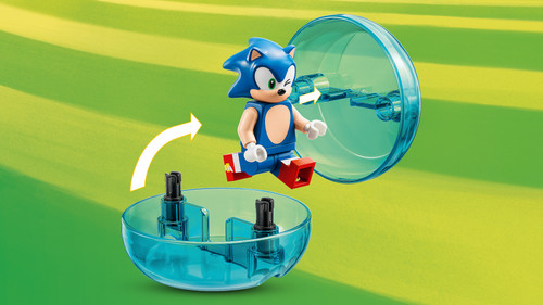 LEGO Sonic the Hedgehog 76994 Sonic's Green Hill Zone Loop Challenge ...
