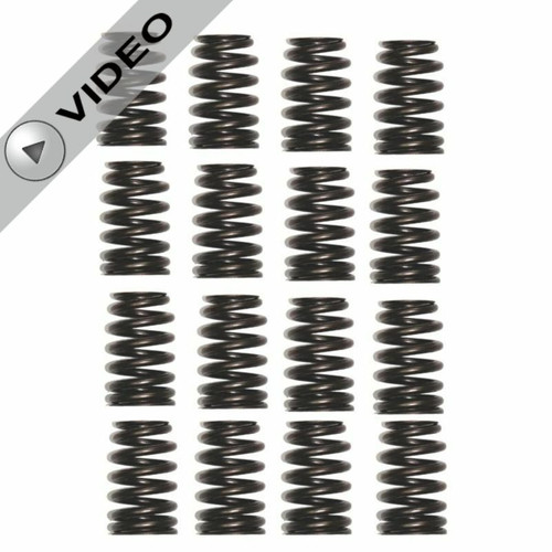 Genuine Chevrolet Performance 602 ReplaceValve Springs16pk