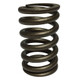 Genuine Chevrolet Performance 602 ReplaceValve Springs16pk