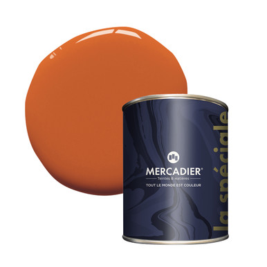 Peinture Mercadier - "La Spéciale" - Mercadier - Couleur Geronimo - 2,5 ...