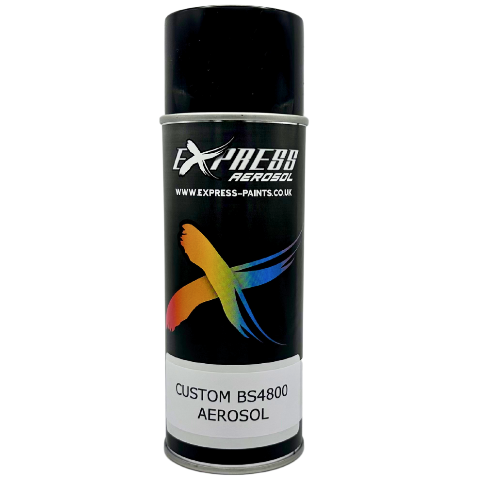 Mixed Aerosol Colour | Express Paints
