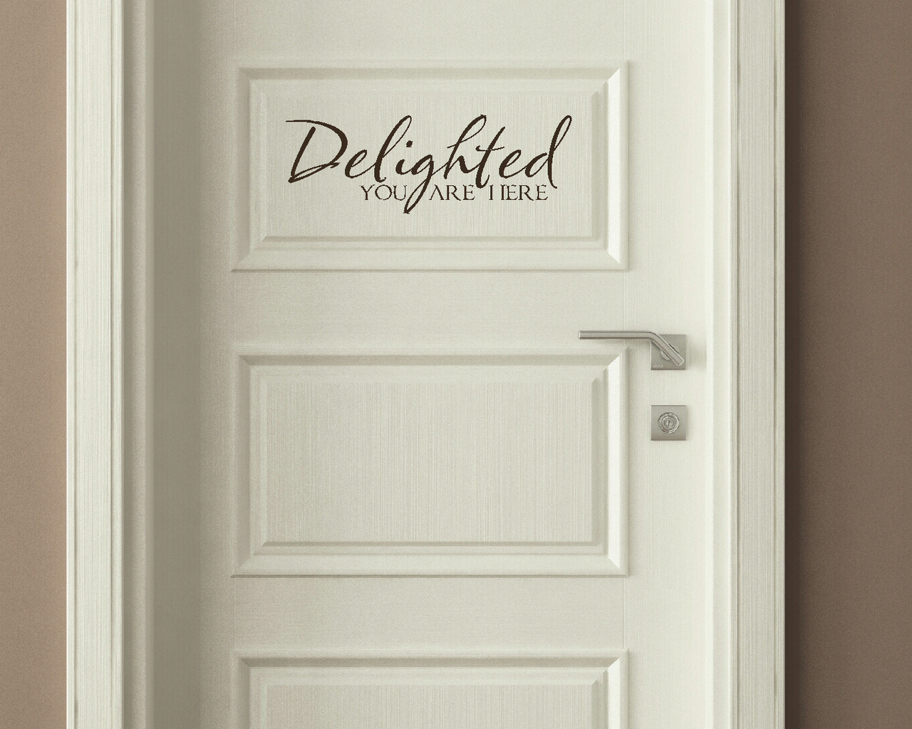 Delighted You Are Here Vinyl Wall Decal Sticker Quote for Home Decor 15x5