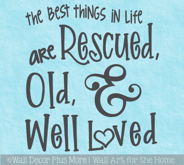 Pet Wall Quote Decal Best Things Rescued Old Well-Loved Vinyl Sticker