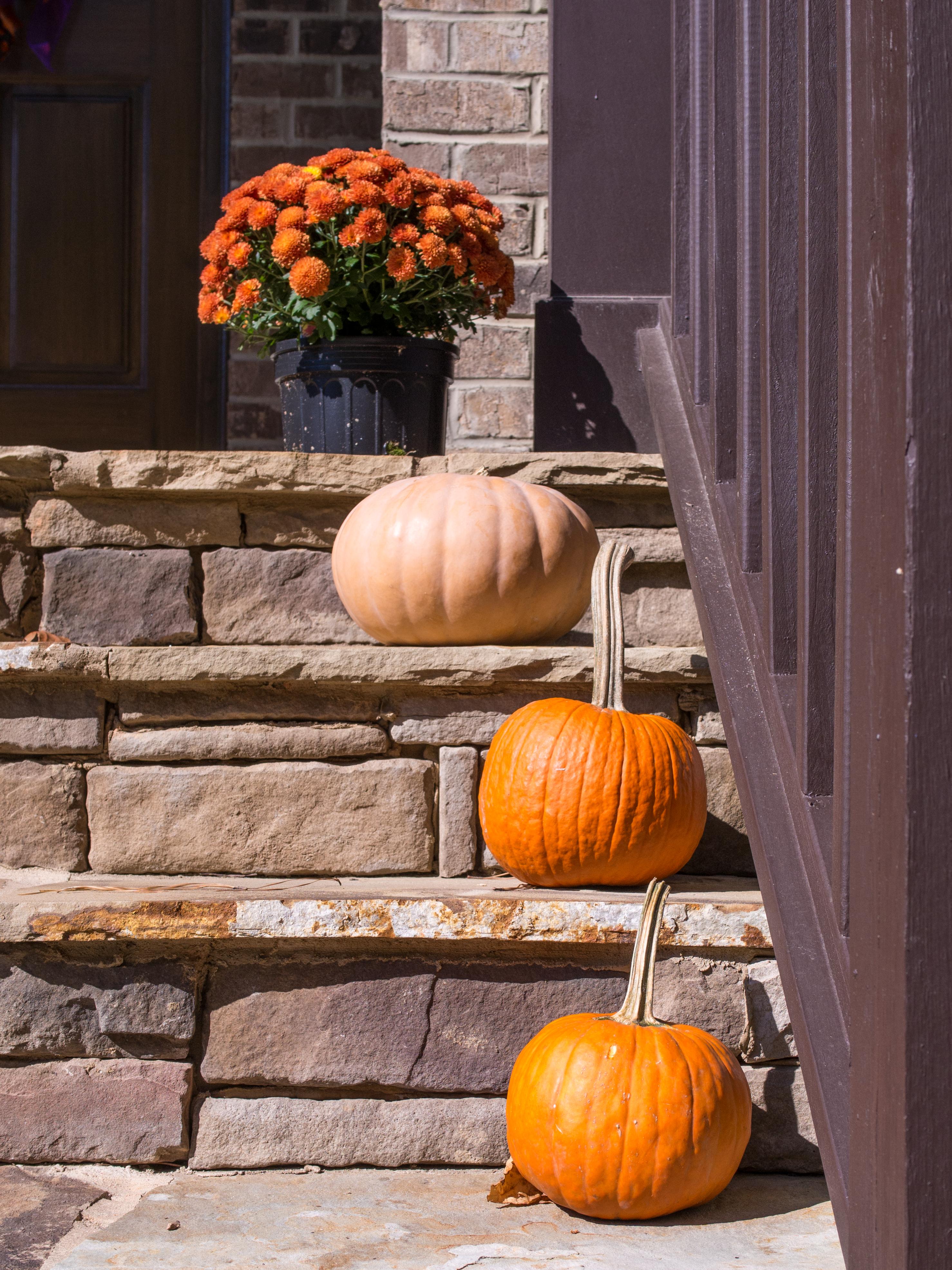 5 Enjoyable Ideas for Fall - Wall Decor Plus More