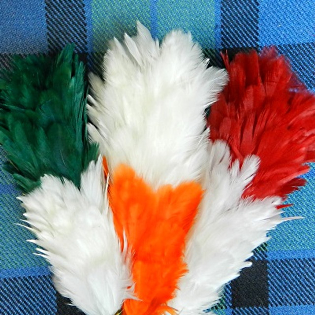 Glengarry Hackles | J. Higgins, Ltd.