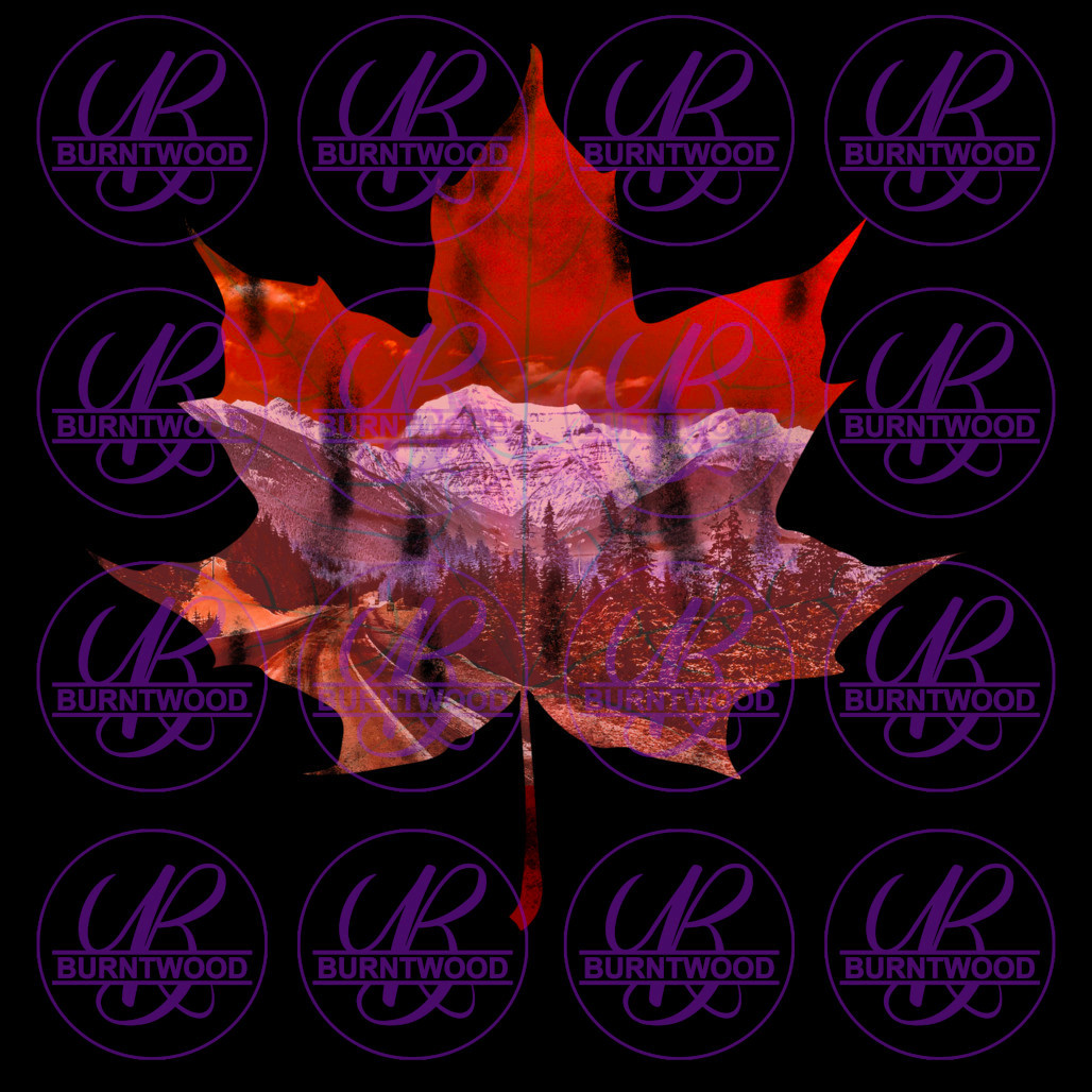 Distressed Maple Leaf 1043