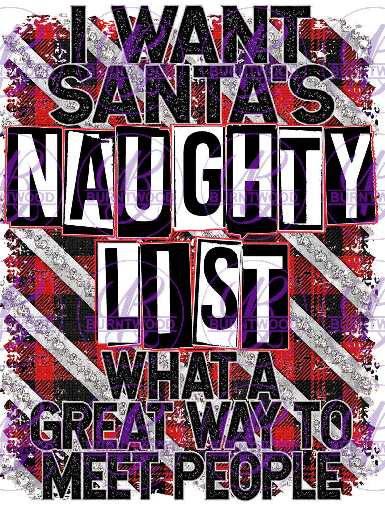 I Want Santa's Naughty List 1764