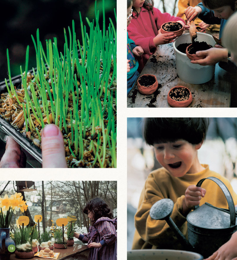 Spring and Summer Nature Activities for Waldorf Kindergartens - Books ...