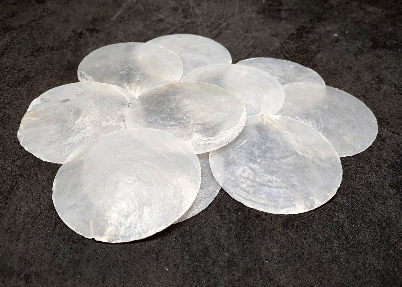 Capiz Shells Round Cut White Pearlescent Placuna Placenta (10 shells ...