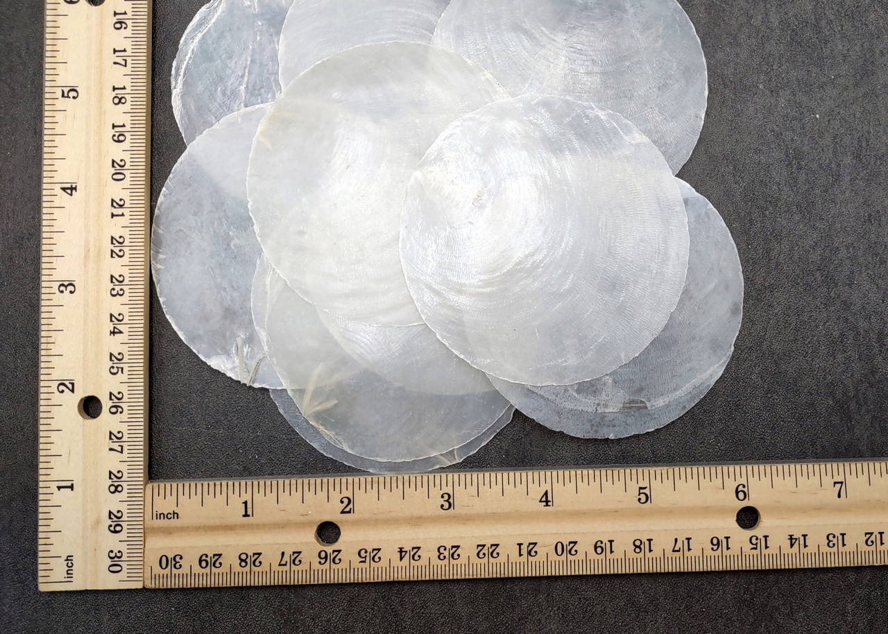 Capiz Shells Round Cut White Pearlescent Placuna Placenta (10 shells ...