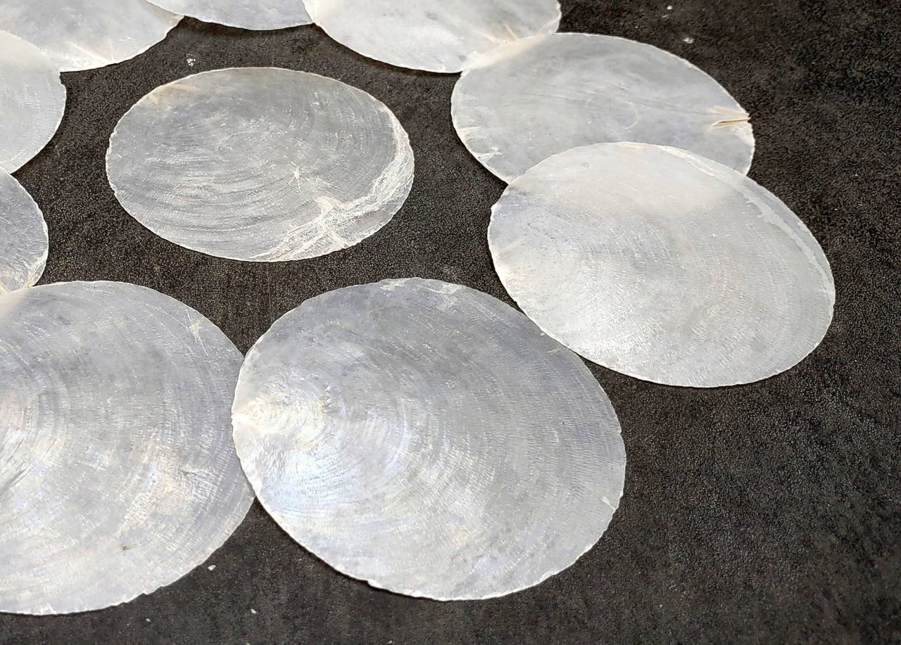Capiz Shells Round Cut White Pearlescent Placuna Placenta (10 shells ...