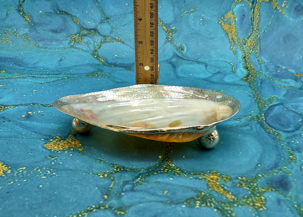 Silver Plated Footed Cabebe Clam Seashell Dish (1 shell dish approx. 7 ...