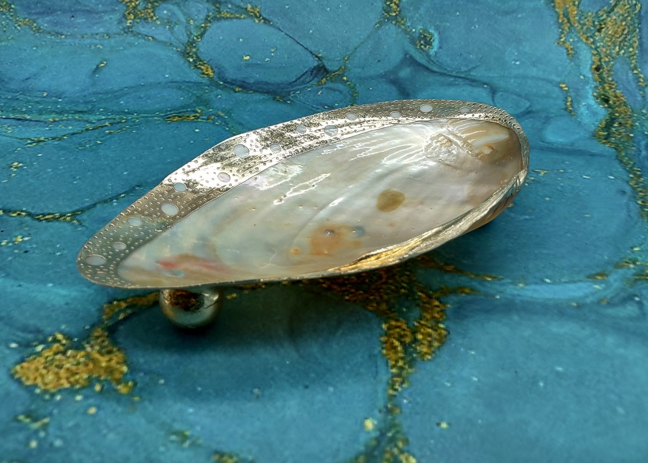 Silver Plated Footed Cabebe Clam Seashell Dish (1 shell dish approx. 7 ...