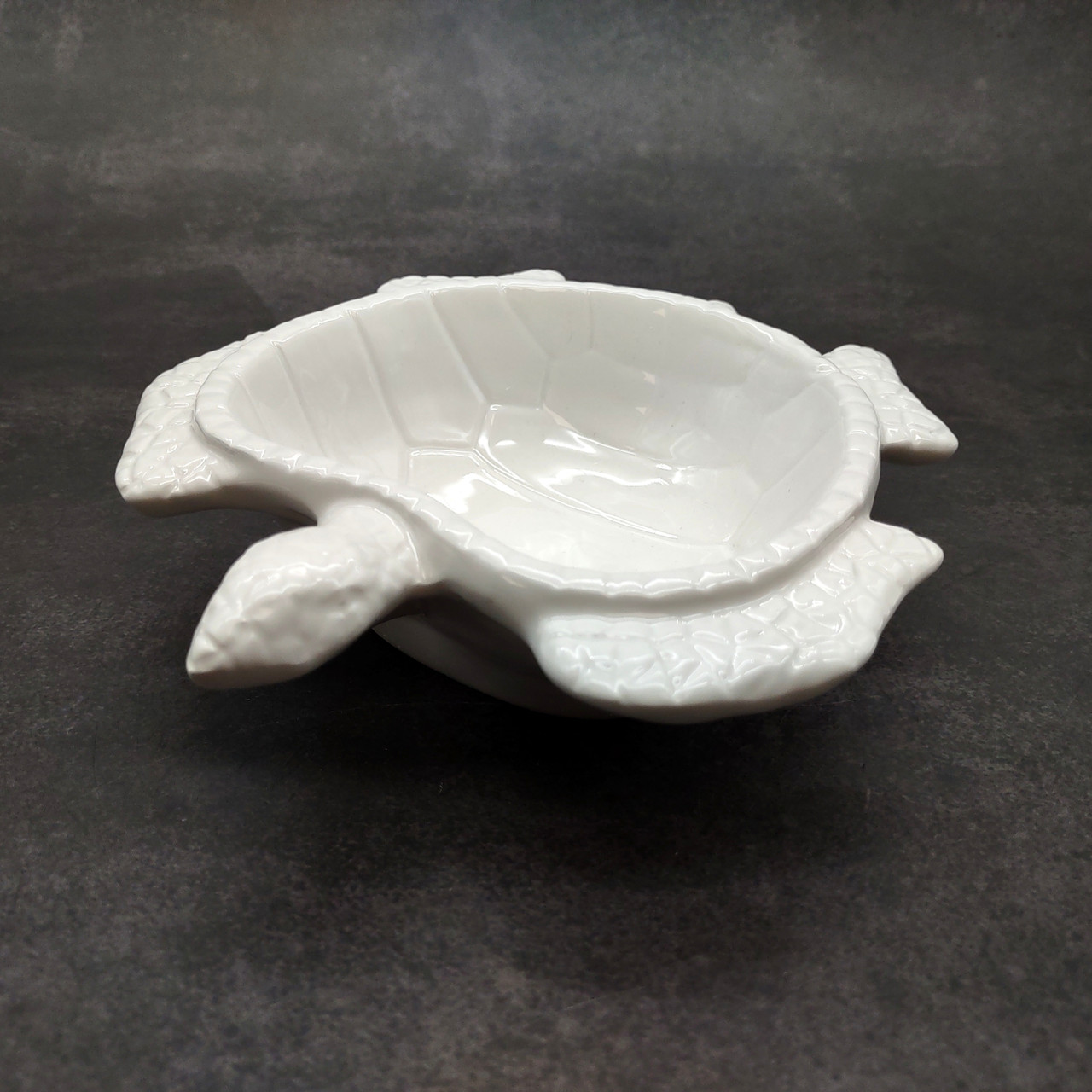 turtle shell dish