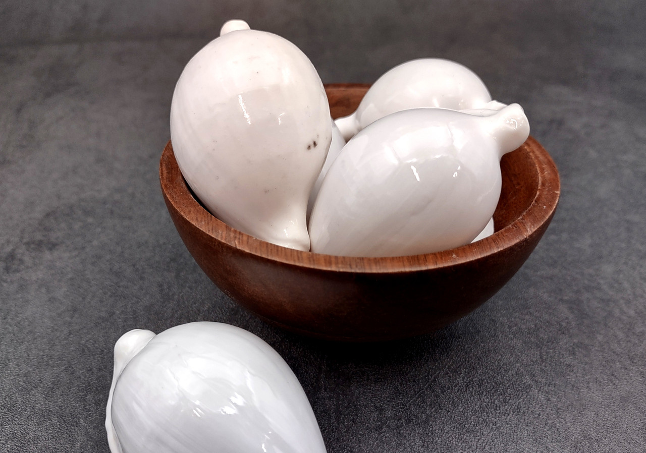 Egg Cowrie White Seashell Ovula Ovum (1 shell approx. 2+ inches ...