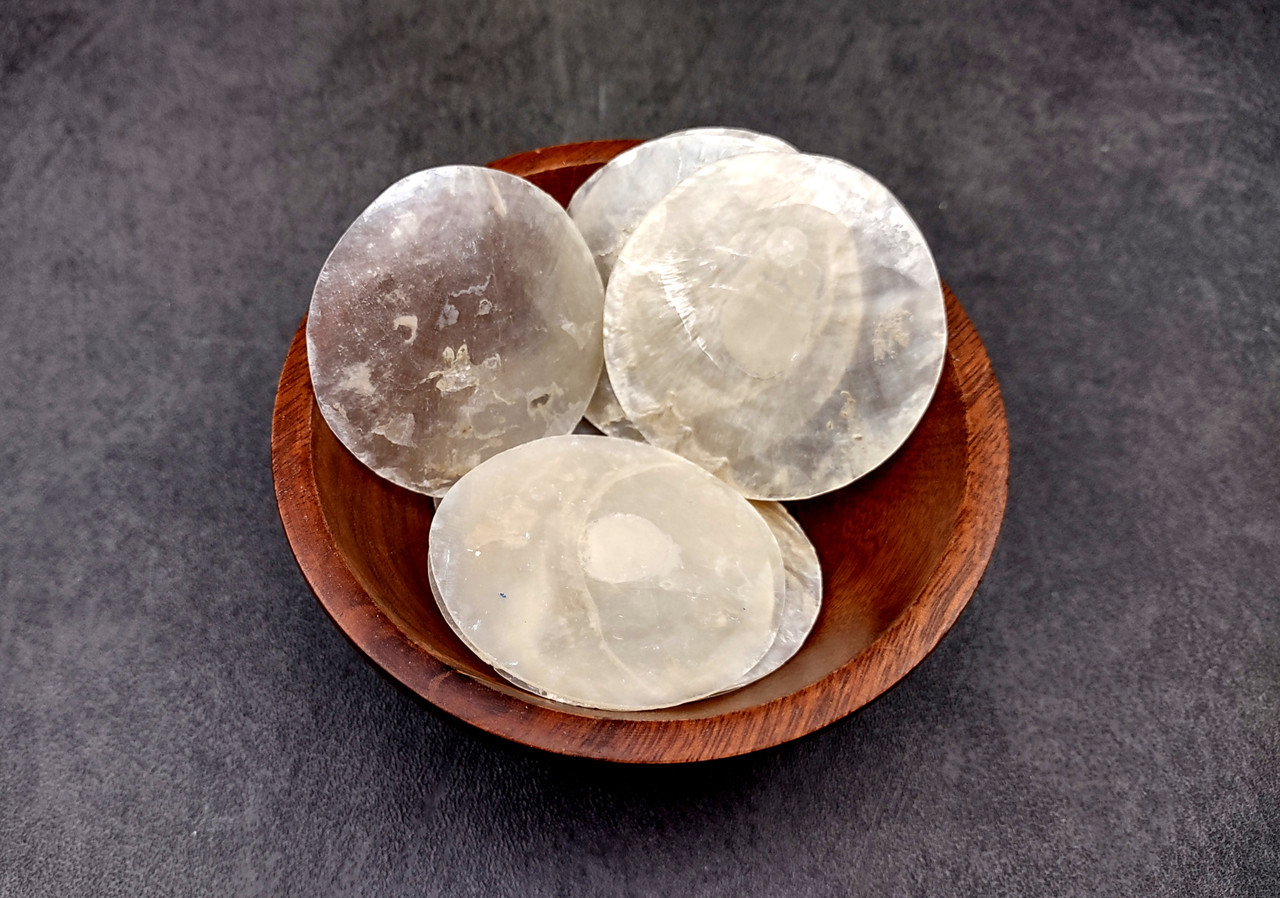 Capiz Round Cut Seashells Placuna placenta (10 shells approx. 2+ inches ...