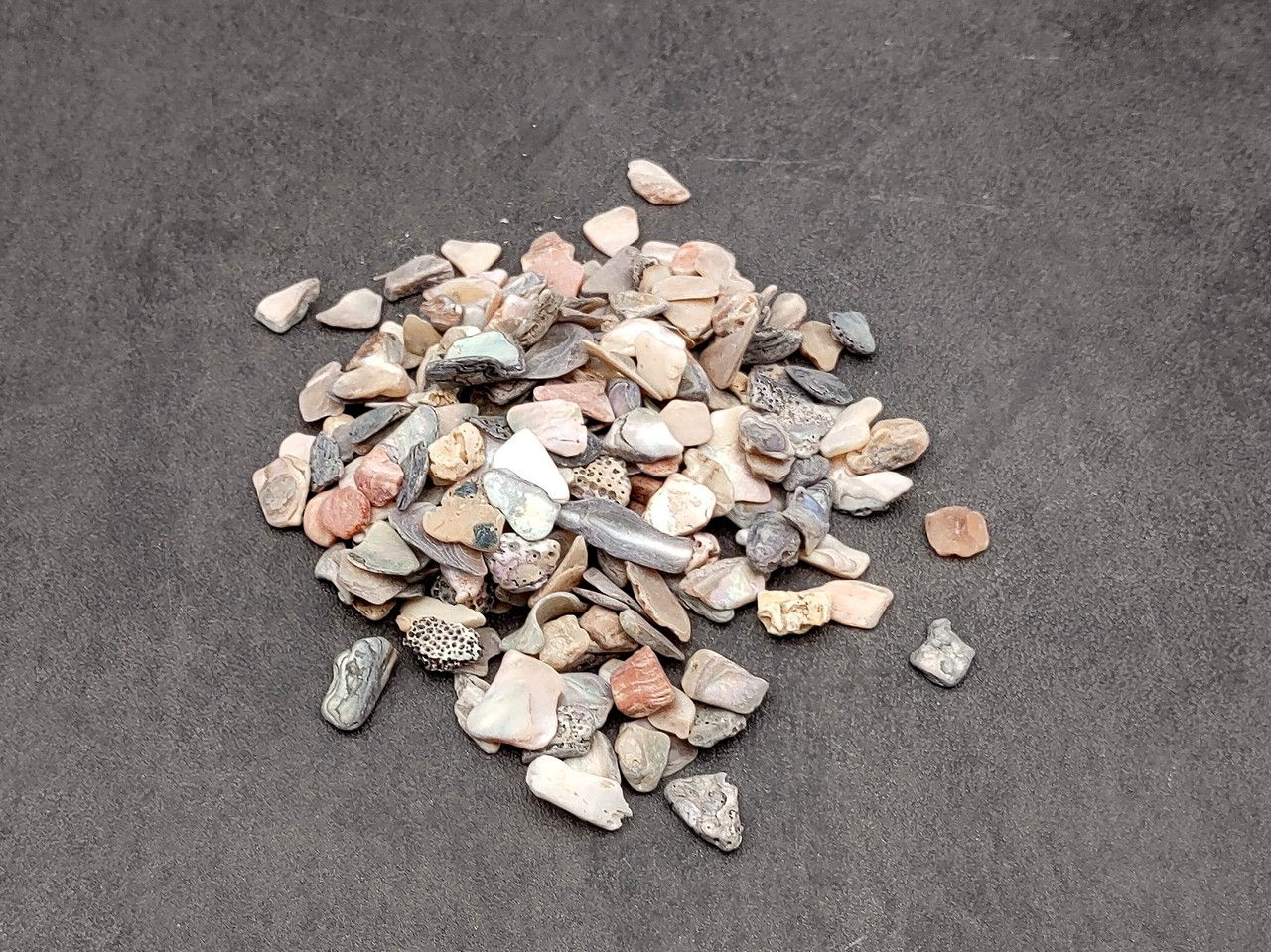 Abalone Seashell Chips (0.25 cup approx. 180+ chips 0.25+ inches ...