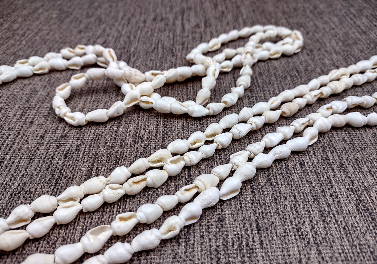 White Nassa Seashell Leis (3 leis approx. 28 inches x 0.25+ inches ...