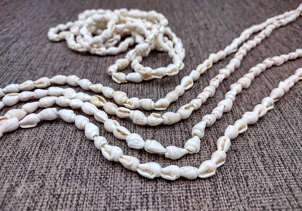 White Nassa Seashell Leis (3 leis approx. 28 inches x 0.25+ inches ...