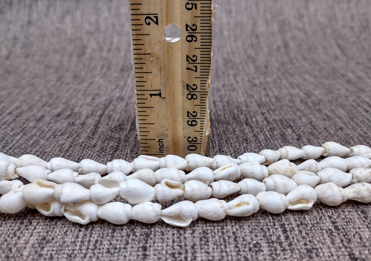White Nassa Seashell Leis (3 leis approx. 28 inches x 0.25+ inches ...