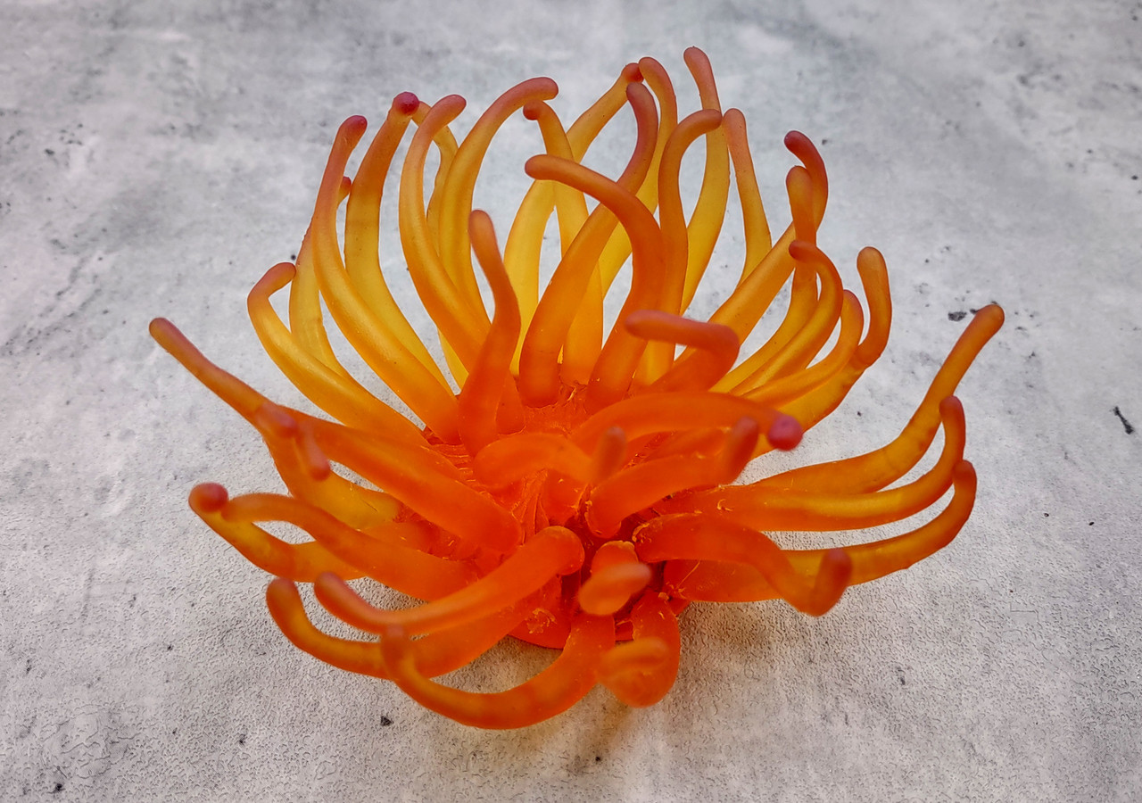 Orange Yellow FAUX Anemone Condylactis Gigantea (1 FAKE Anemone approx ...