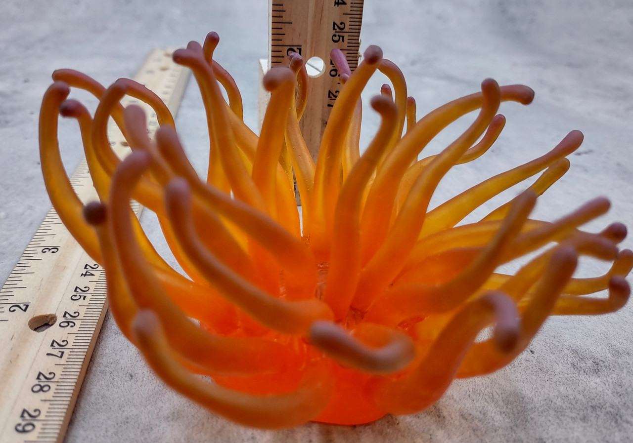 Orange Yellow FAUX Anemone Condylactis Gigantea (1 FAKE Anemone approx ...