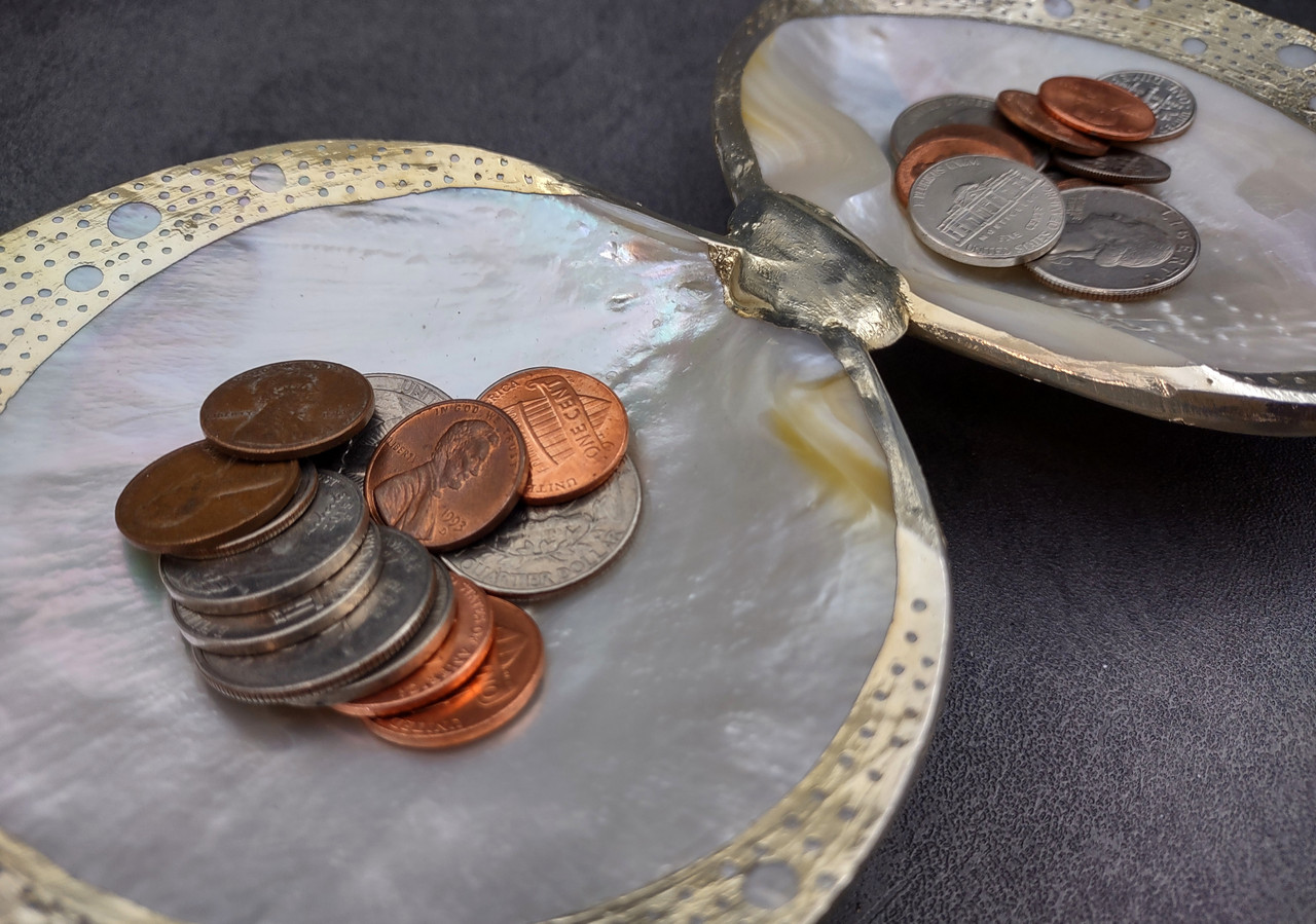 Silver Edged Oyster Seashell Dish Pearl Pinctada Maxima (1 dish approx ...