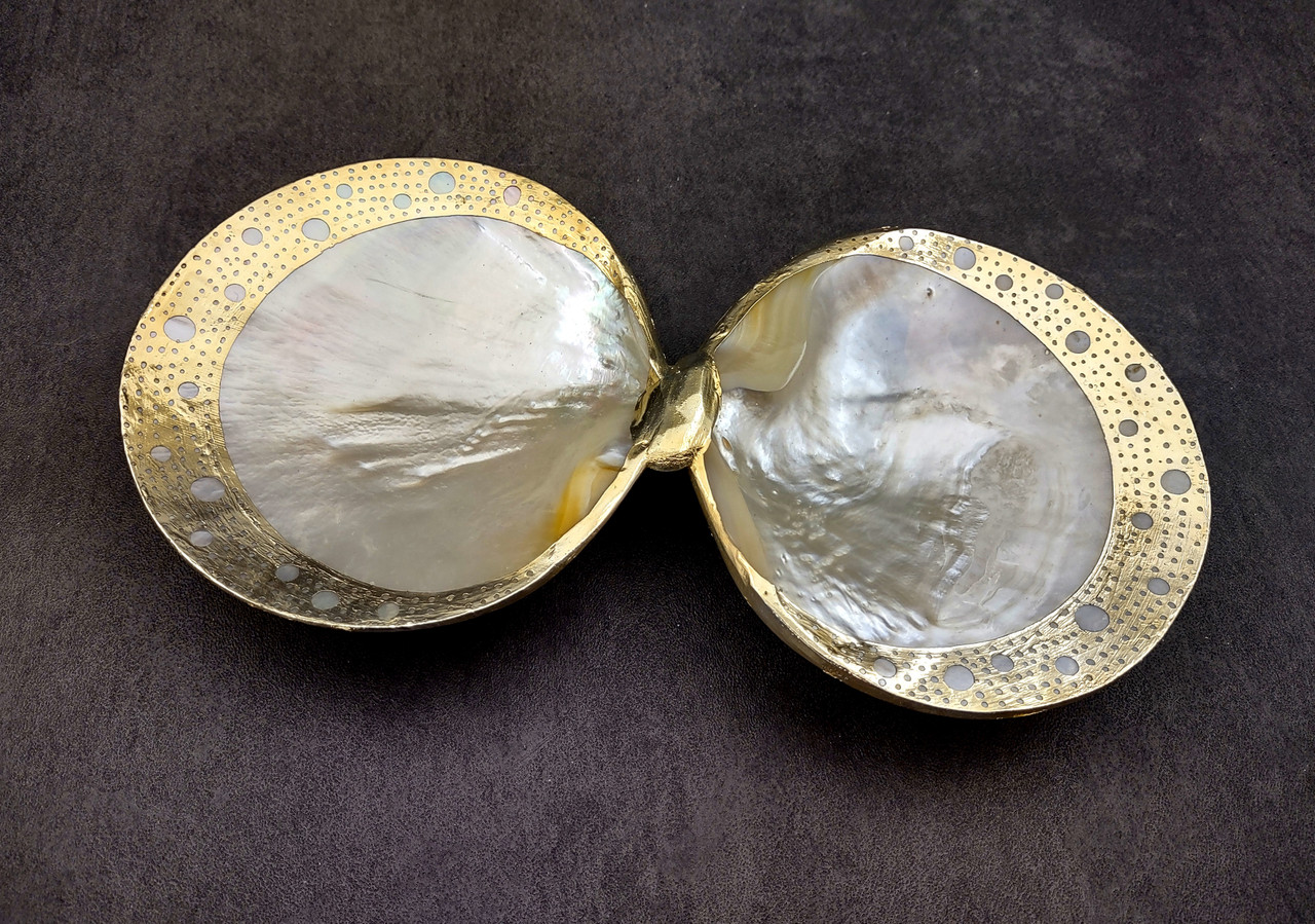 Silver Edged Oyster Seashell Dish Pearl Pinctada Maxima (1 dish approx ...
