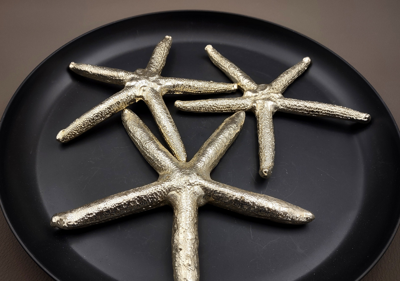 Silver Dipped Starfish Linckia Starfish (1 seastar approx. 5+ inches ...