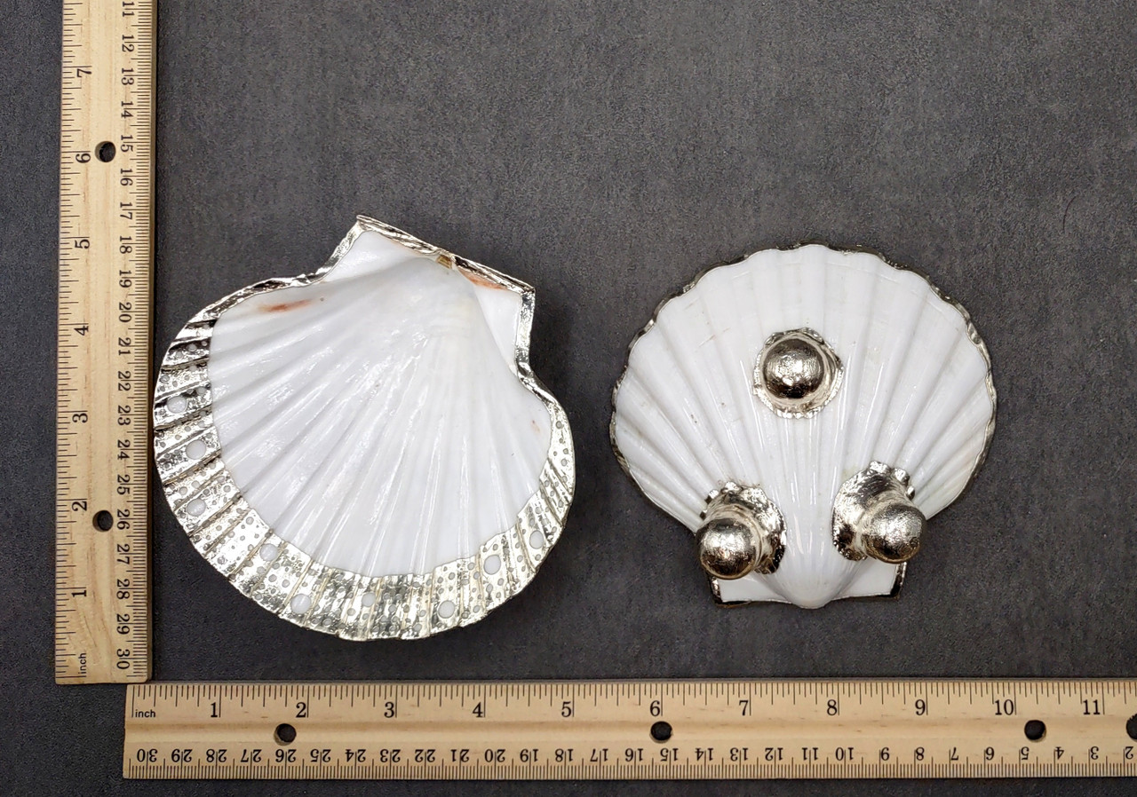 Silver Plated Great Scallop Seashell Dish (1 shell dish approx. 4.5 ...