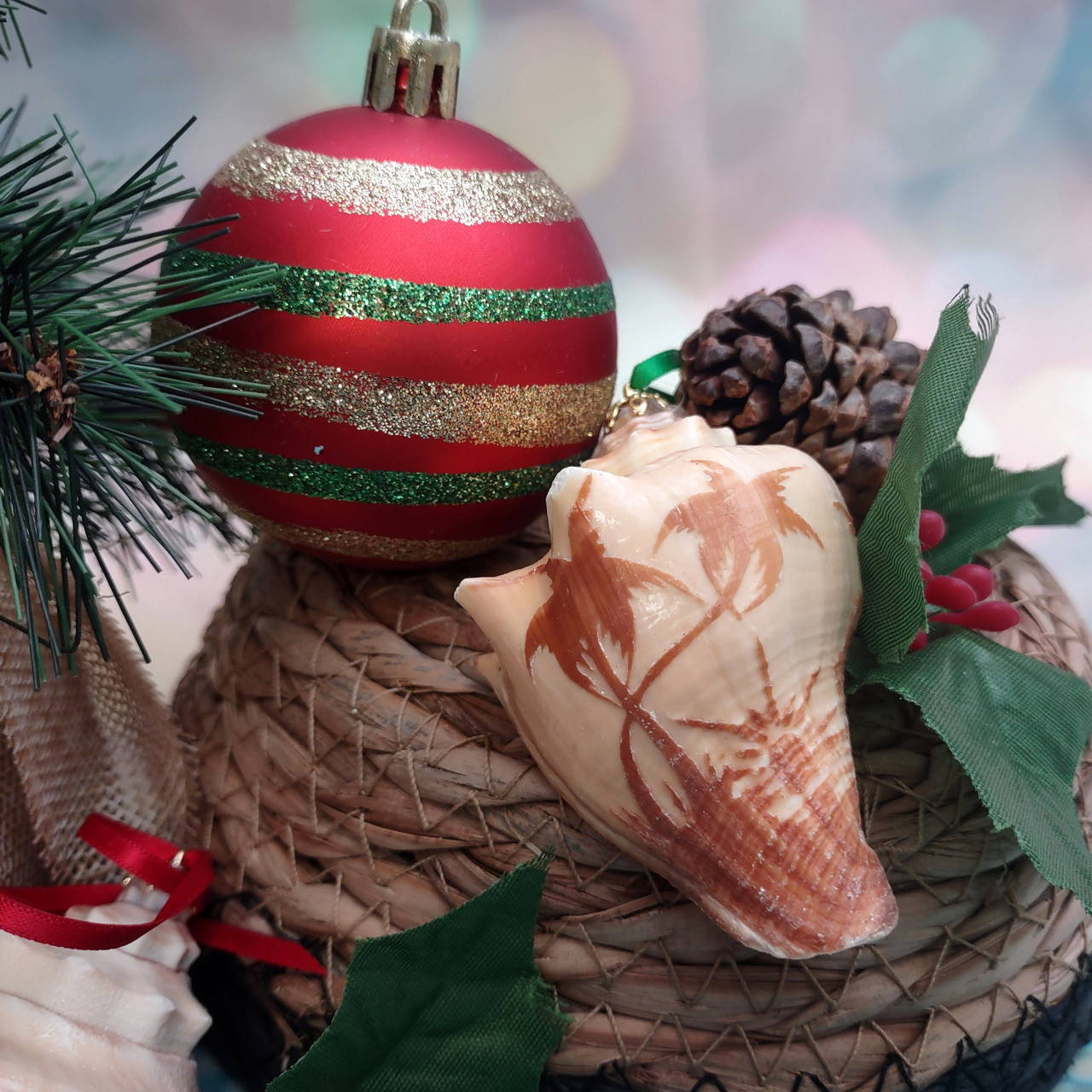 Carved Conch Seashell Christmas Ornament (2 shells approx. 2+ inches ...