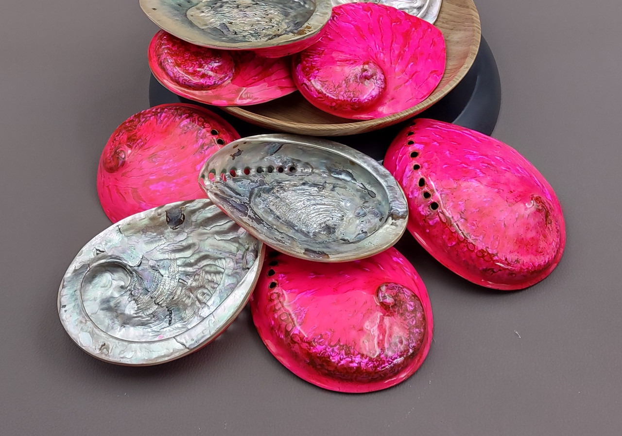 Polished Hot Pink Abalone Midas Dyed Seashell Haliotis Midae (1 shell ...