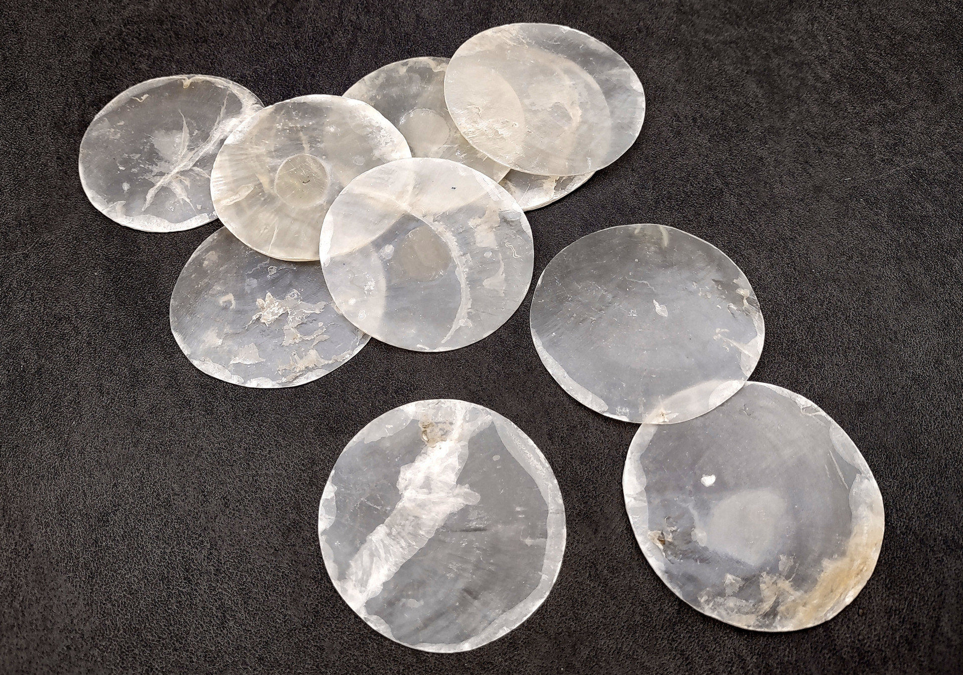 Capiz Round Cut Seashells Placuna placenta (10 shells approx. 2+ inches ...